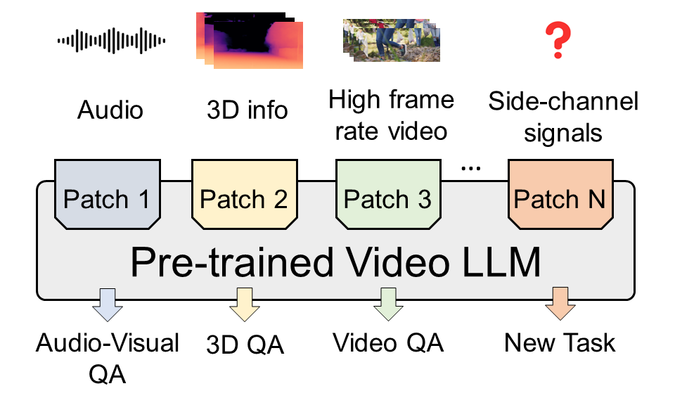 About - Zoom’s Page